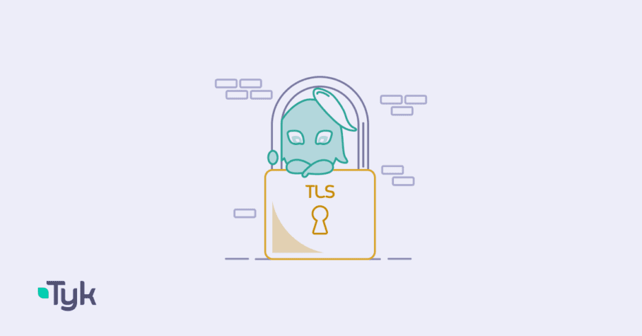 Transport Layer Security And Tyk Tyk Api Gateway 9903